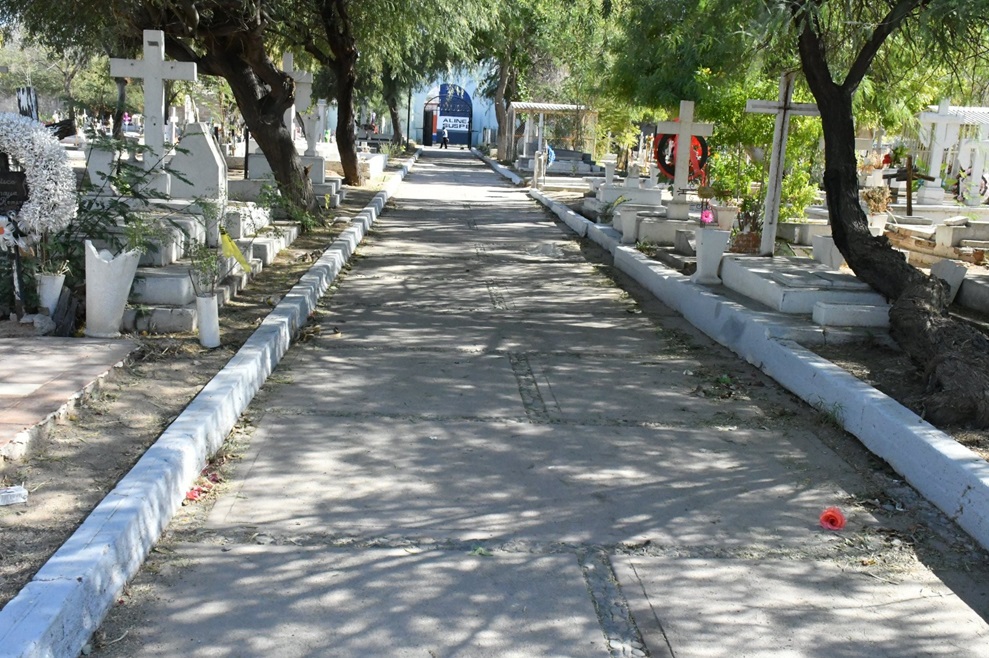 Ludoteca Ave Badu ofrecerá terapias de tanatología sin costo - Uniradio ...