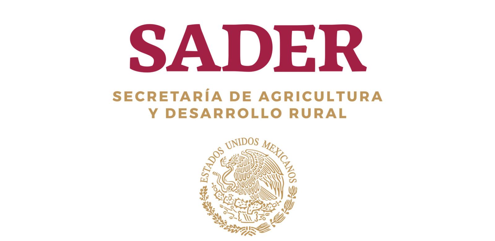 Nueva titular de SADER dará continuidad a proyectos agrícolas en Sonora ...